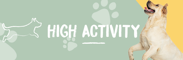 High activity | OWNAT