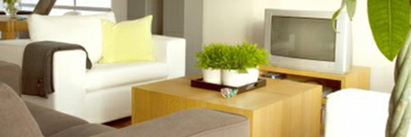 Muebles: Decorar con flores y plantas