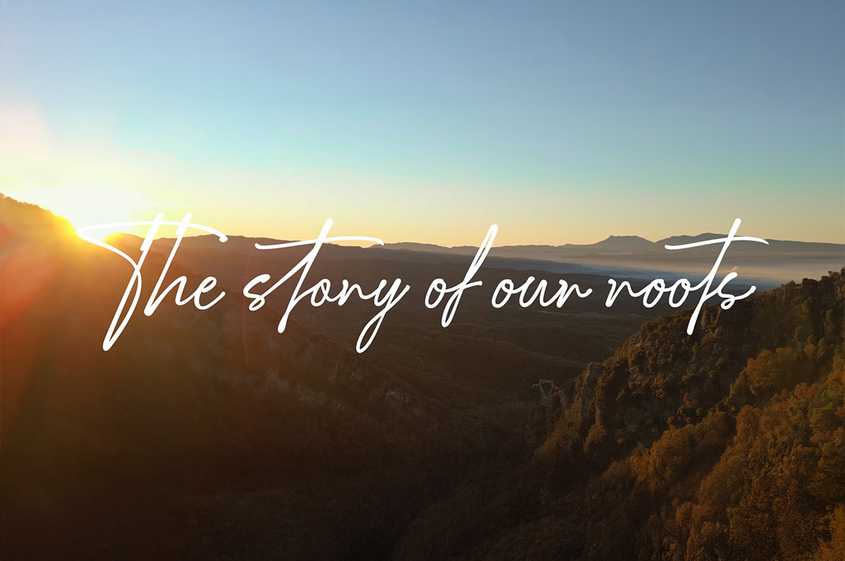 Viefe | Fabricant de poms i agafadors, penjadors i topalls de porta