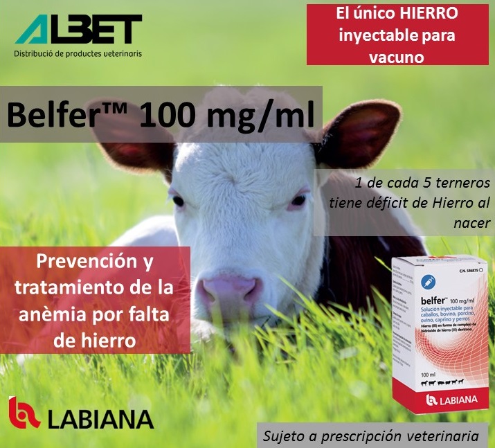 Belfer 100mg/ml - Hierro Inyectable para animales. Marca Labiana