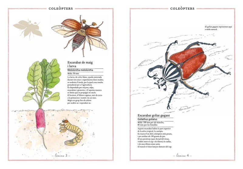 Insectos En La Selva Tropical BICHOS: UNA VERDADERA AVENTURA EN