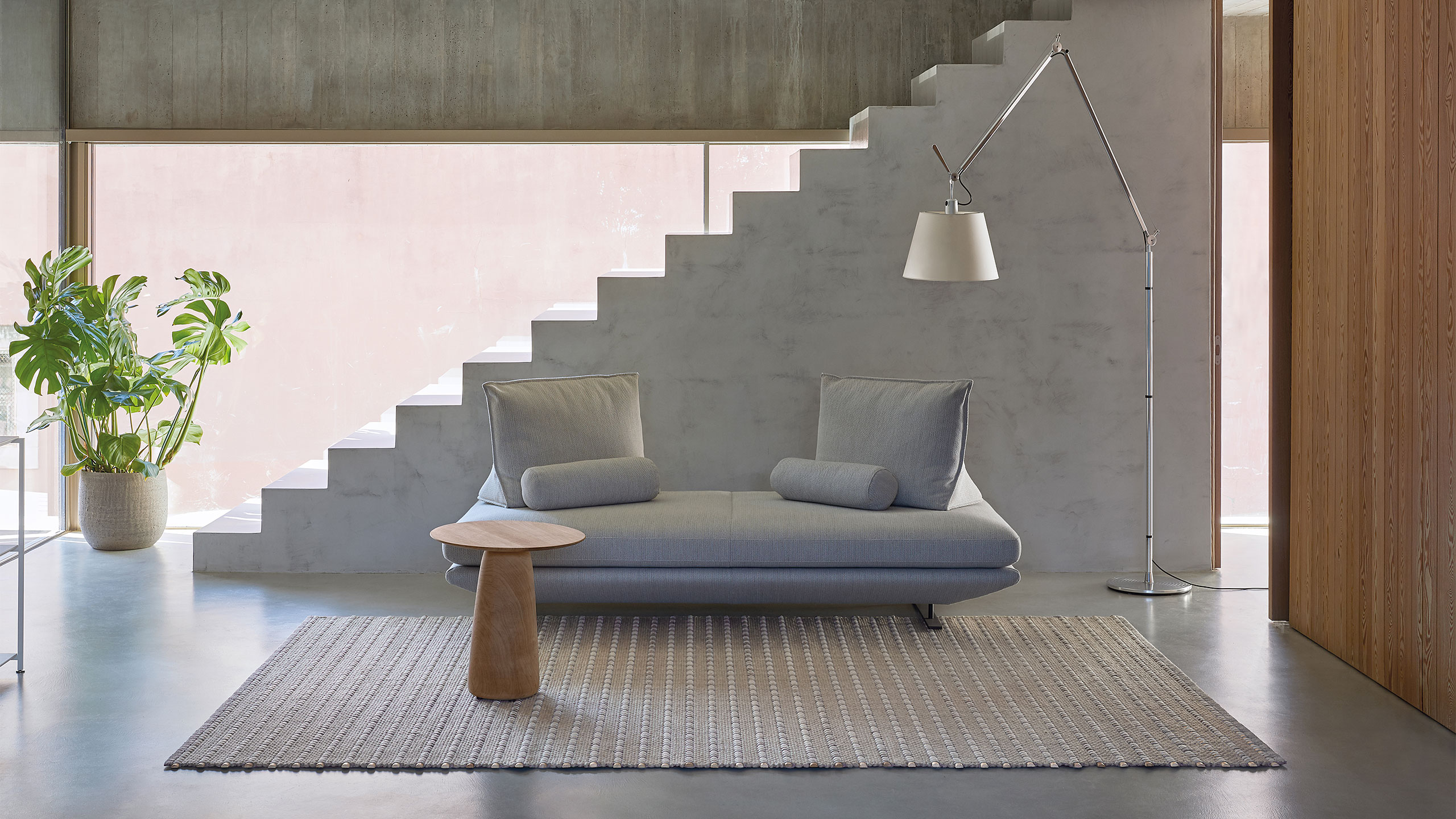 GAN | GOZ collection